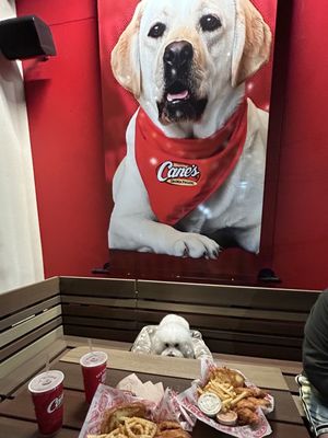 RAISING CANE’S CHICKEN FINGERS - Updated January 2026 - 14 Photos & 13 ...
