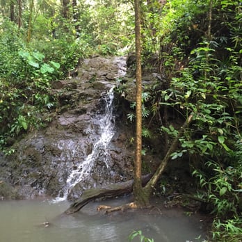 HAU’ULA LOOP TRAIL - Updated July 2024 - 131 Photos & 22 Reviews - 54 ...