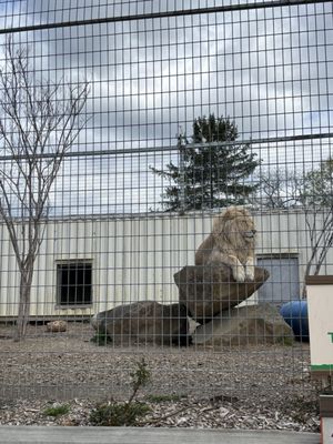 PLUMPTON PARK ZOO - Updated May 2026 - 210 Photos & 132 Reviews - 1416 ...