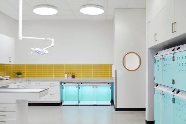 MODERN ANIMAL - Updated August 2025 - 64 Photos & 120 Reviews - 401 ...