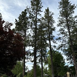 FRONTIER BEHAVIORAL HEALTH - Updated June 2025 - 14 Reviews - 107 S ...