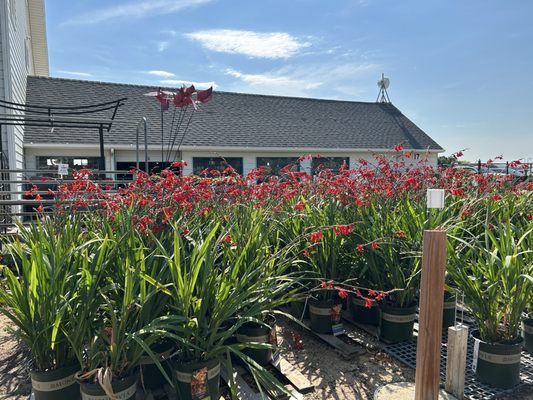 THE TREE FARM NURSERY & GARDEN CENTER - Updated September 2025 - 34 ...