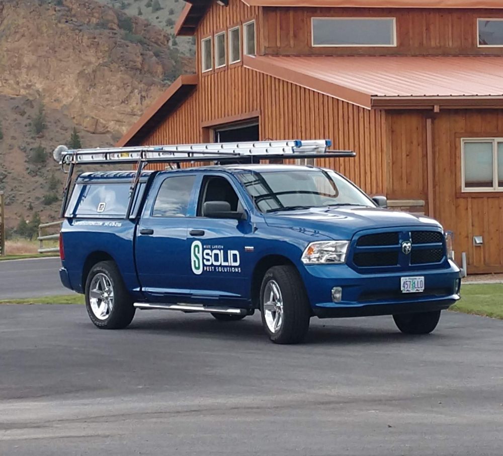 SOLID PEST SOLUTIONS - Updated January 2026 - Bend, Oregon - Pest ...