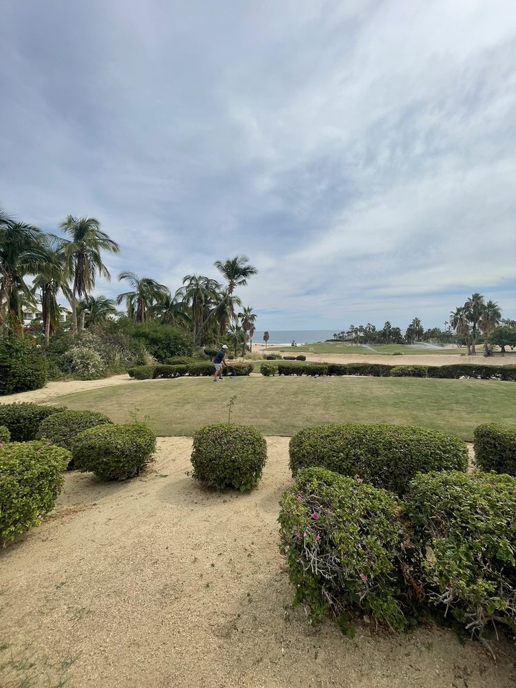 CABO REAL GOLF COURSE - Updated July 2025 - 43 Photos & 25 Reviews ...