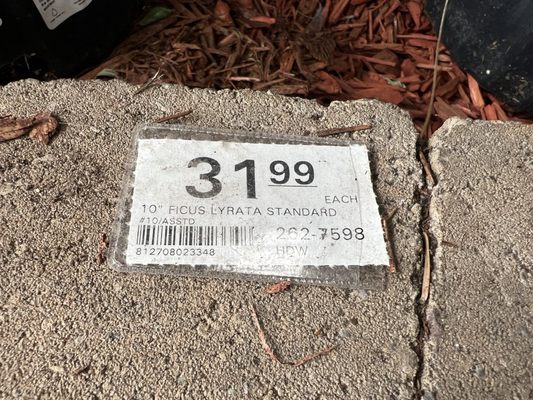 MENARDS - Updated October 2025 - 17 Photos & 10 Reviews - 3000 S ...