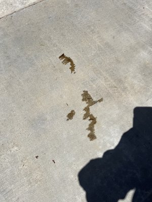 SPREEN HONDA CORONA - Updated January 2026 - 81 Photos & 398 Reviews ...