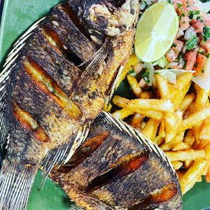 TACO BANDIDO - Updated May 2025 - 10 Photos & 67 Reviews - 2301 ...