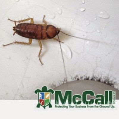 MCCALL PEST & WILDLIFE - Updated September 2025 - 39 Photos - 307 NW ...