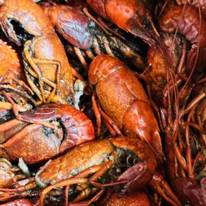 CAPTAIN SID’S SEAFOOD - Updated January 2025 - 59 Photos & 66 Reviews ...