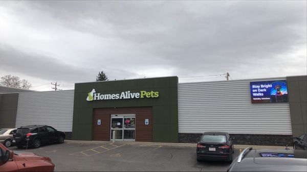 HOMES ALIVE PET - Updated January 2026 - 910 3 Ave S, Lethbridge ...