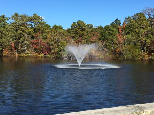 BIRCH GROVE PARK - Updated May 2024 - 18 Photos - 1700 Burton Ave ...