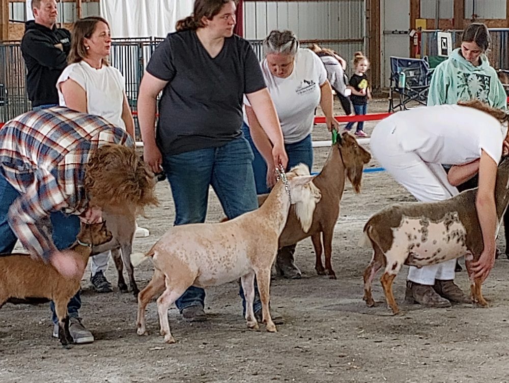 BROKEN ARROWS FARM - Updated December 2024 - 553 Ecker Hollow Rd ...