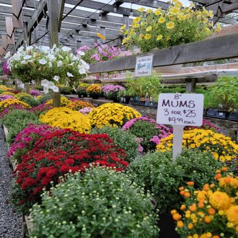 NALLS PRODUCE - Updated October 2025 - 394 Photos & 139 Reviews - 7310 ...