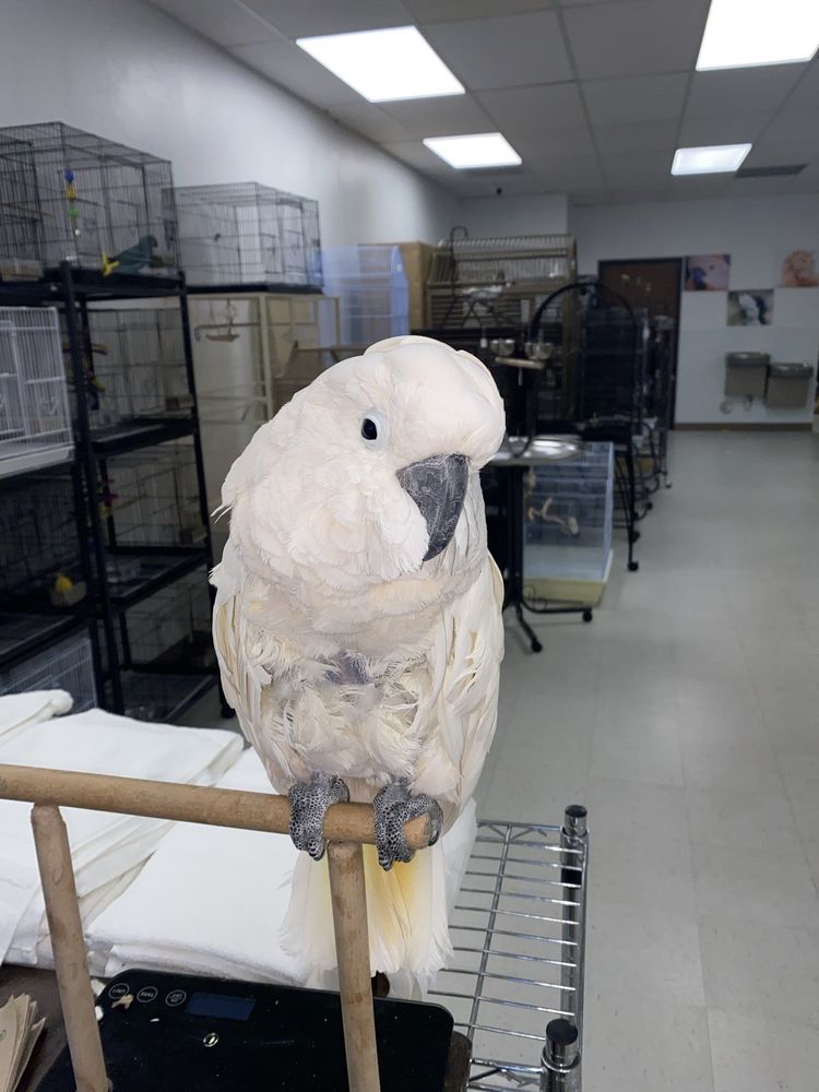 EXOTIC BIRD RANCH - Updated December 2025 - 10015 E Hampden Ave, Denver ...