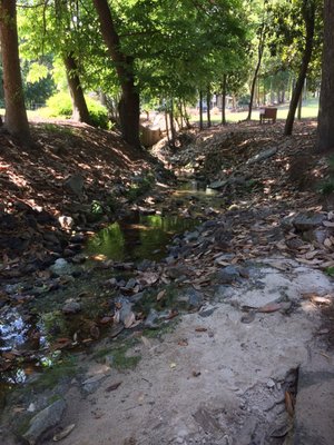 FUQUAY MINERAL SPRING PARK - Updated January 2026 - 24 Photos - 105 ...