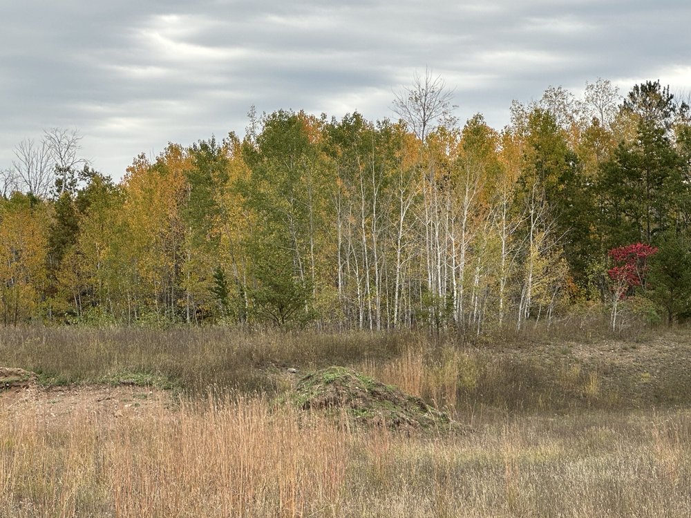 WARGO NATURE CENTER - Updated December 2025 - 25 Photos - 7701 Main St ...
