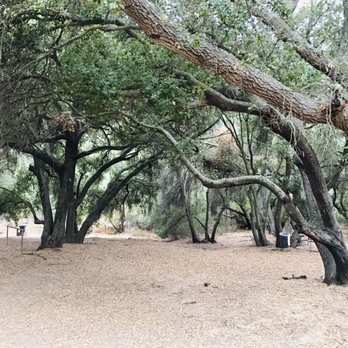 BLUE SKY ECOLOGICAL RESERVE - Updated December 2025 - 528 Photos & 64 ...