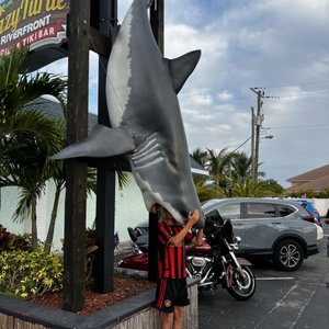 LAZY TURTLE - 119 Photos & 123 Reviews - 4445 Dixie Hwy NE, Palm Bay ...