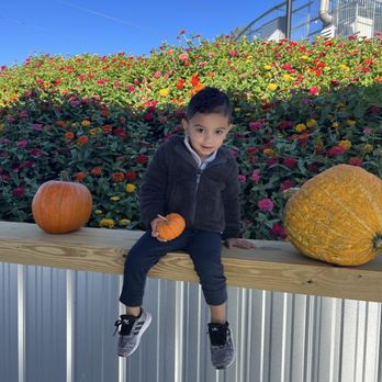 HOLDER HILL FARM - Updated December 2025 - 48 Photos & 15 Reviews ...