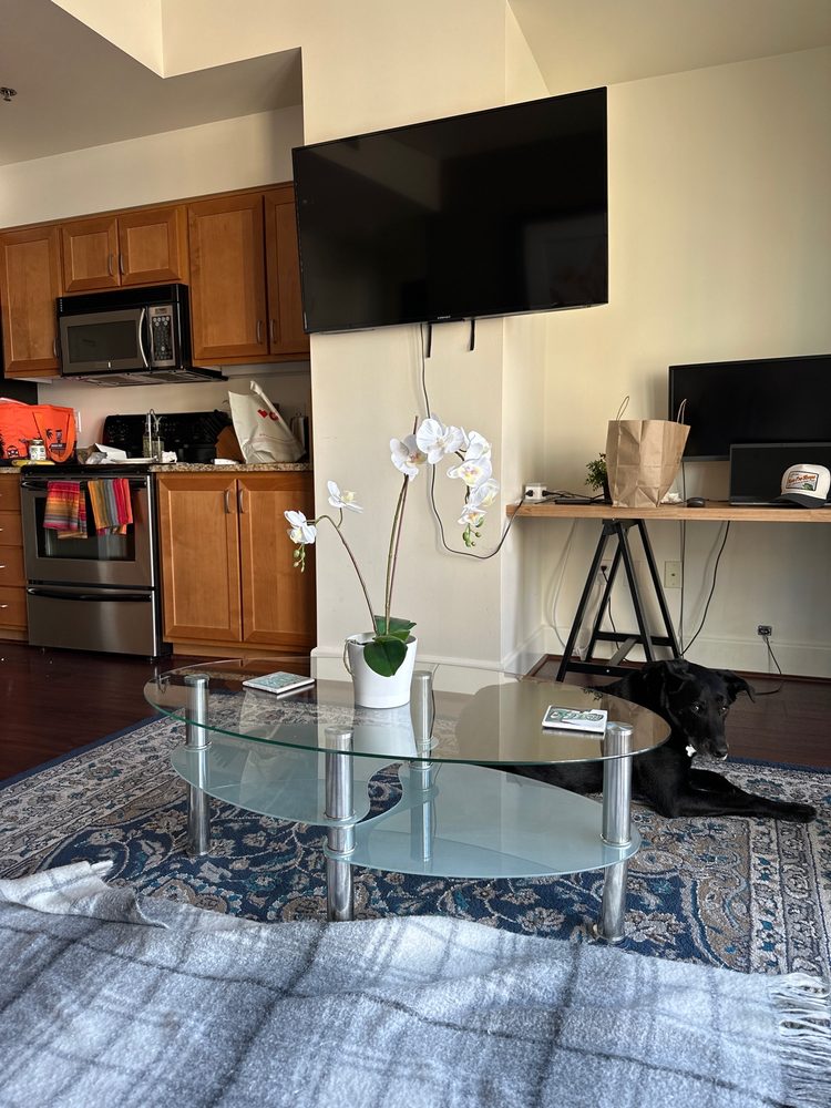 BURLINGTON TOWER - Updated February 2025 - 30 Photos & 14 Reviews - 900 ...