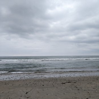 BEACH WOLF RESTAURANT & RENTALS - Updated November 2025 - 29 Photos ...