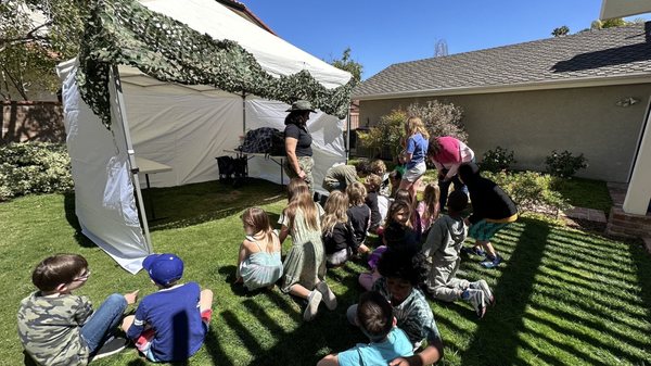 CRITTER SQUAD WILDLIFE DEFENDERS - Updated October 2025 - 166 Photos ...