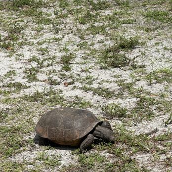 TURKEY CREEK SANCTUARY - Updated October 2025 - 822 Photos & 51 Reviews ...