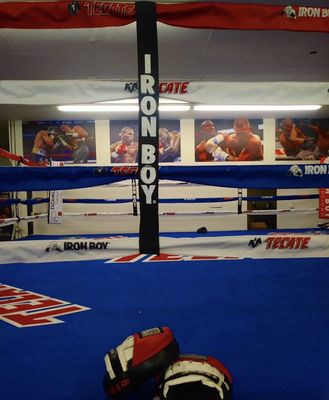 PRO EDGE BOXING, MMA & BRAZILIAN JIUJITSU - 87 Photos & 37 Reviews ...