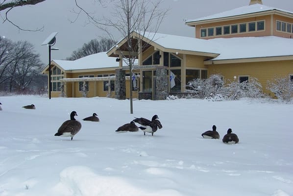 BOSTON NATURE CENTER & WILDLIFE SANCTUARY - Updated September 2025 - 33 ...