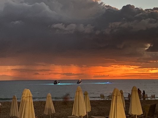 HAU TREE AT MAUNA KEA - Updated May 2024 - 147 Photos & 115 Reviews ...