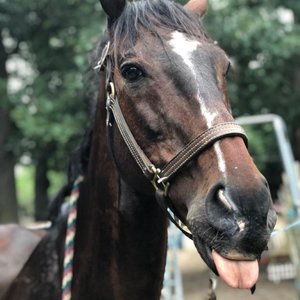 HARBOR MIST - 480 Photos & 261 Reviews - 105 Harbor Rd, Cold Spring ...