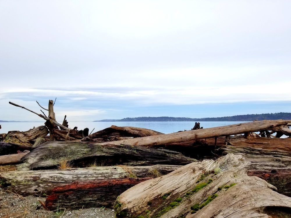 POINT ROBINSON PARK - 186 Photos & 41 Reviews - 3705 SW Point Robinson ...