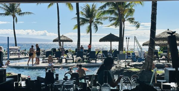 INU POOL BAR - Updated September 2025 - 107 Photos & 79 Reviews - 45 ...