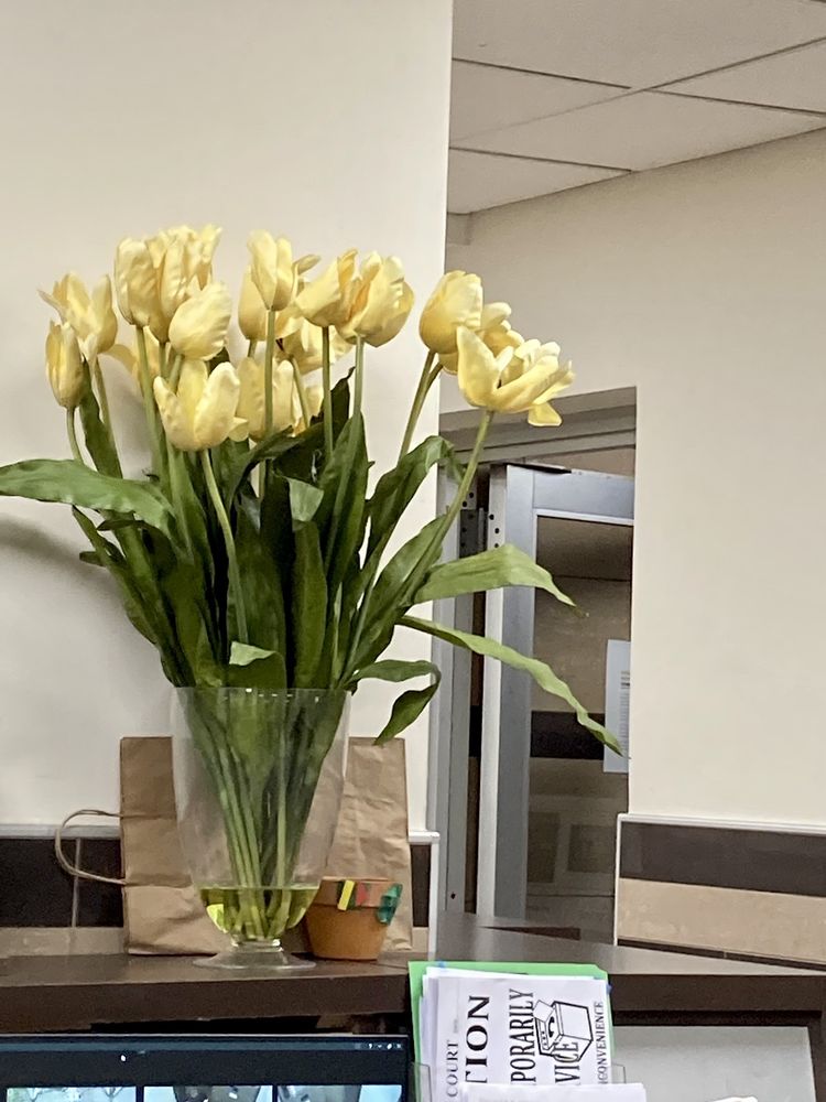 DOYLE SECURITY SERVICES - Updated January 2026 - 10 Photos - 27 W 20th ...