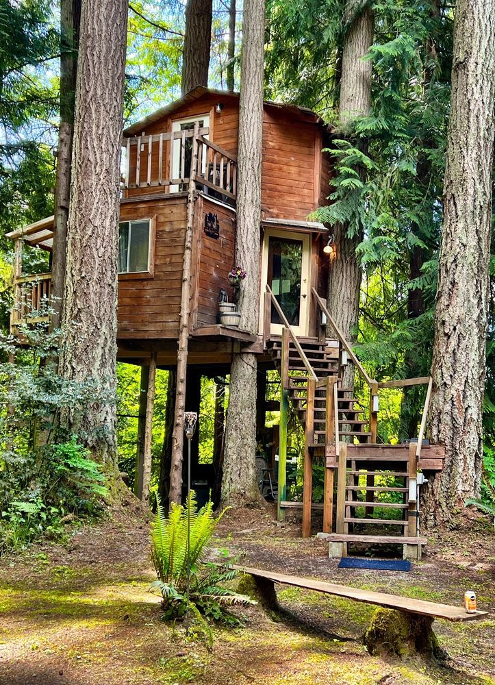 AIRBNTREE AT ADAMS COVE - Updated January 2026 - 3322 Sleater Kinney Rd ...