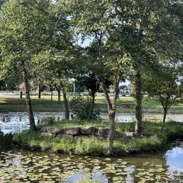 SOFIA’S OF CLIFTON PARK - Updated October 2025 - 76 Photos & 64 Reviews ...