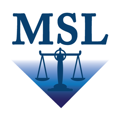 THE LAW OFFICES OF MICHAEL S LAMONSOFF - Updated September 2025 - 30 ...