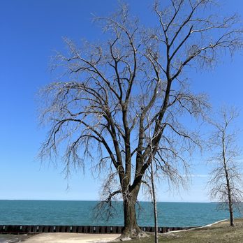 CALUMET PARK - Updated December 2025 - 57 Photos & 15 Reviews - 9801 S ...