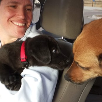 LARIMER HUMANE SOCIETY - Updated November 2025 - 28 Photos & 68 Reviews ...