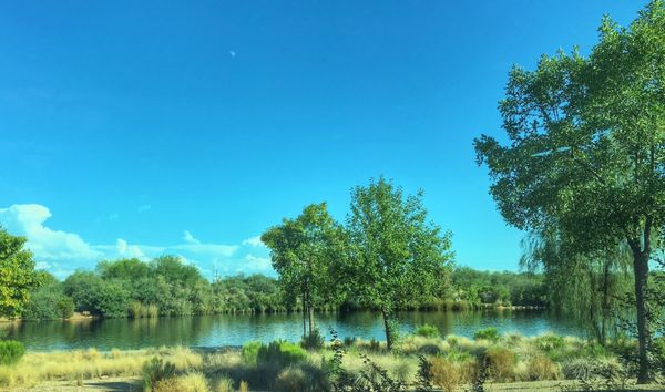 SOUTHEAST REGIONAL LIBRARY - Updated June 2024 - 44 Photos & 67 Reviews ...