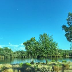 SOUTHEAST REGIONAL LIBRARY - 38 Photos & 61 Reviews - 775 N Greenfield ...