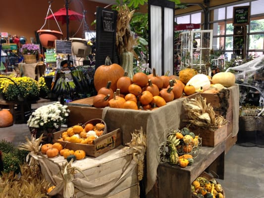 THIES FARM & GREENHOUSES - Updated December 2025 - 34 Photos & 21 ...