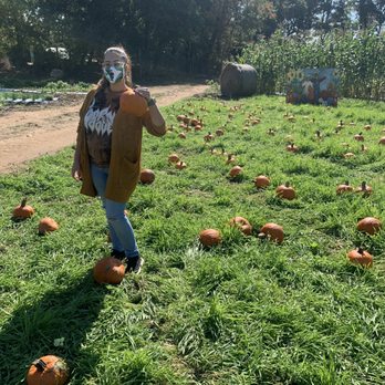 STOKES FARM - Updated November 2025 - 21 Photos & 27 Reviews - 23 ...