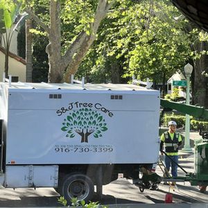 TITAN TREE SERVICE - Updated January 2025 - 25 Photos & 91 Reviews ...