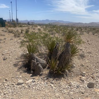 MOUNTAIN’S EDGE REGIONAL PARK - Updated April 2025 - 412 Photos & 93 ...