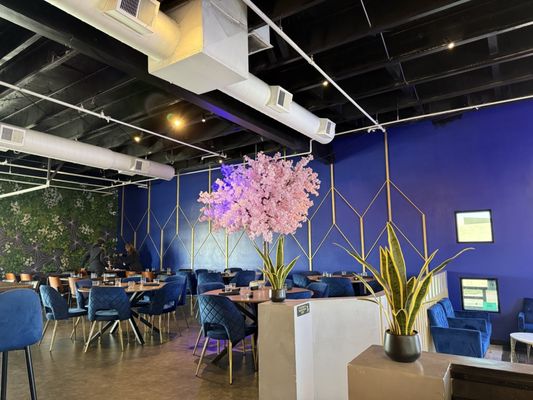 FIESTA AZUL TEQUILA HOUSE ABQ - Updated August 2025 - 191 Photos & 76 ...