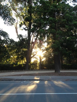 TAN TRACK - Updated May 2025 - 13 Reviews - Birdwood Ave, Melbourne ...