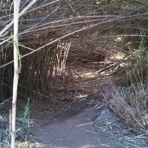 KIT CARSON PARK - 226 Photos & 72 Reviews - Parks - 3333 Bear Valley ...