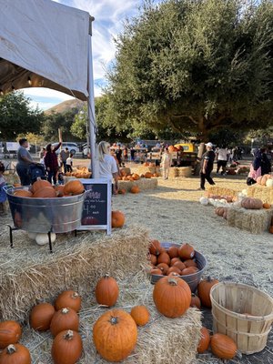 ROWELL RANCH RODEO - Updated July 2025 - 52 Photos & 12 Reviews - 9725 ...