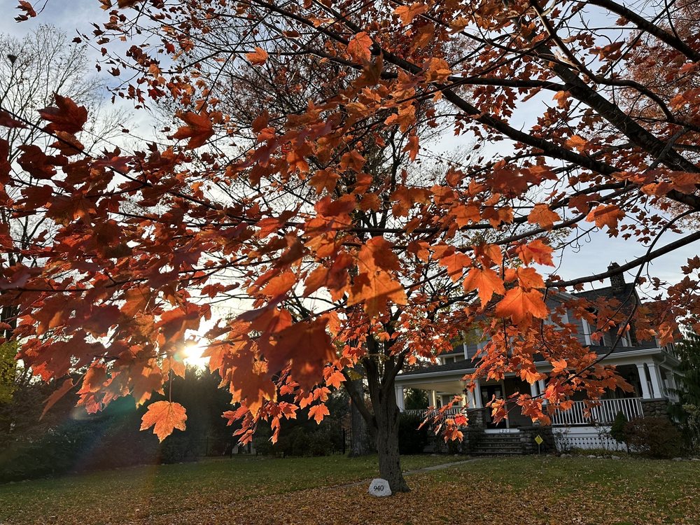 Glen Rock DEMAREST PARK - Updated November 2024 - 76 Glen Ave - Parks ...